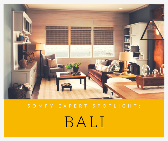 Expert Spotlight: Bali