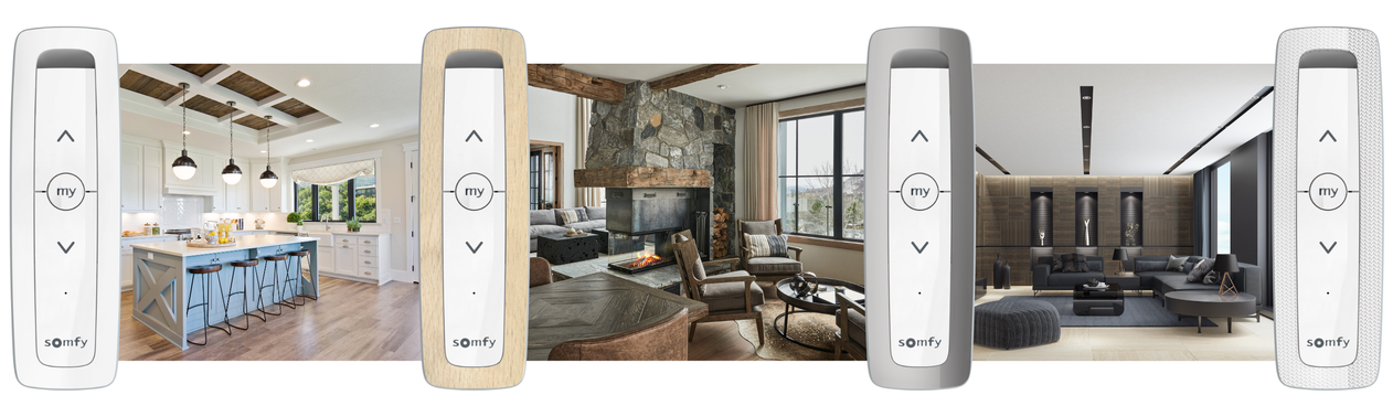 Selecting the Right Situo® Remote for Your Interior