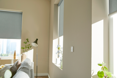 Explore Somfy's PoE Blinds & Control Solutions - Power Over Ethernet