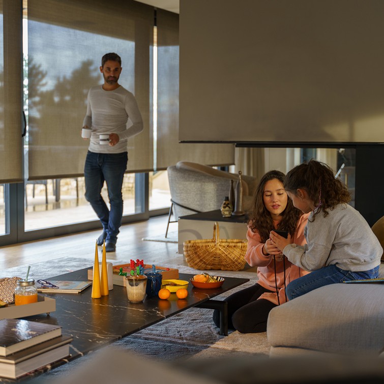 Zigbee Blinds and Shades - Smart Home Ecosystem by Somfy