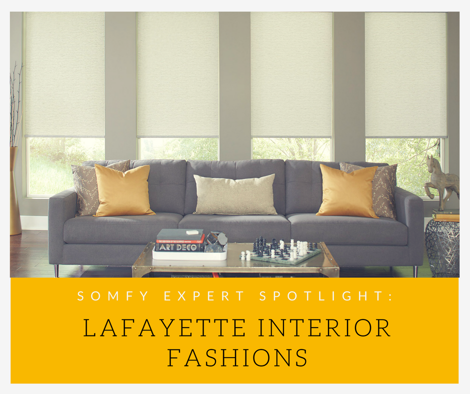 Expert Spotlight: Lafayette Interior Fashions