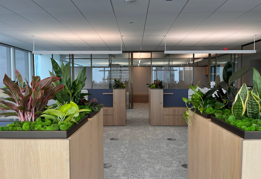 Texas Tower | Somfy Systems