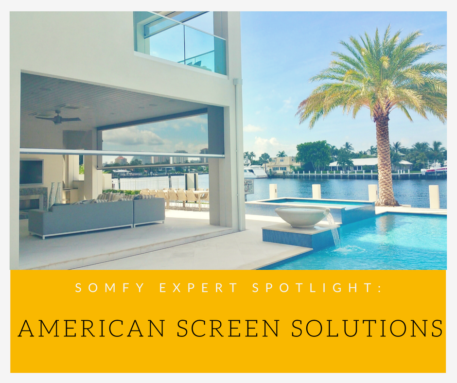 Expert Spotlight: American Screen Solutions