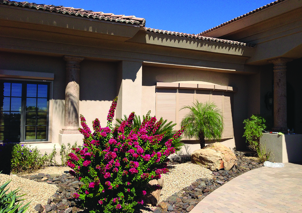 Expert Spotlight: Roll-a-Shield