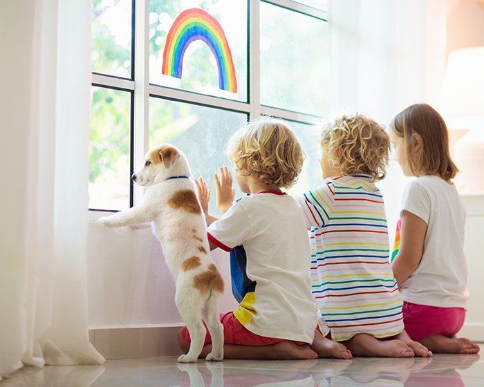 Somfy’s Windows of Hope Challenge